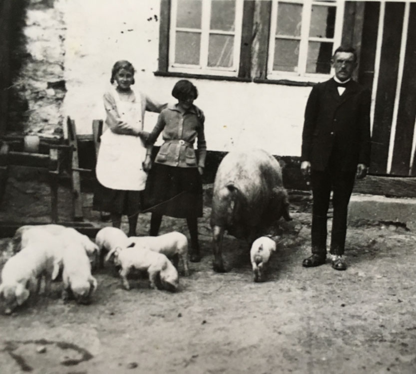 Geschichte - Metze-Höfchen